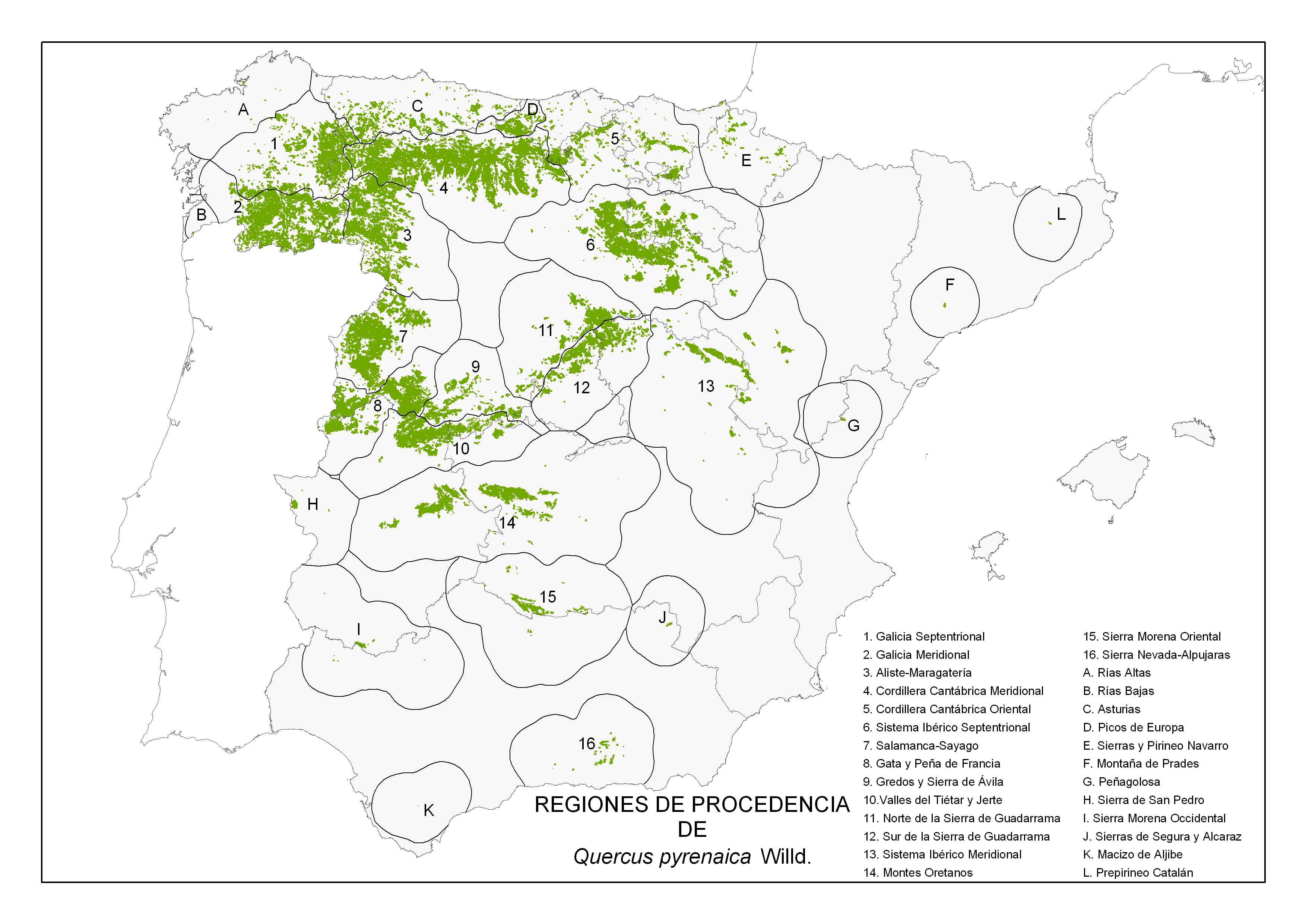Regiones De Procedencia